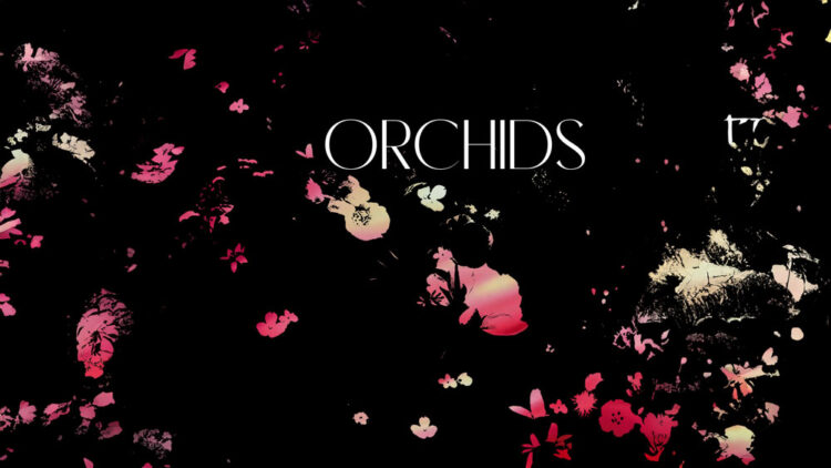 Orchids Release New Single OUT TODAY – Album – A Unique Project ...
